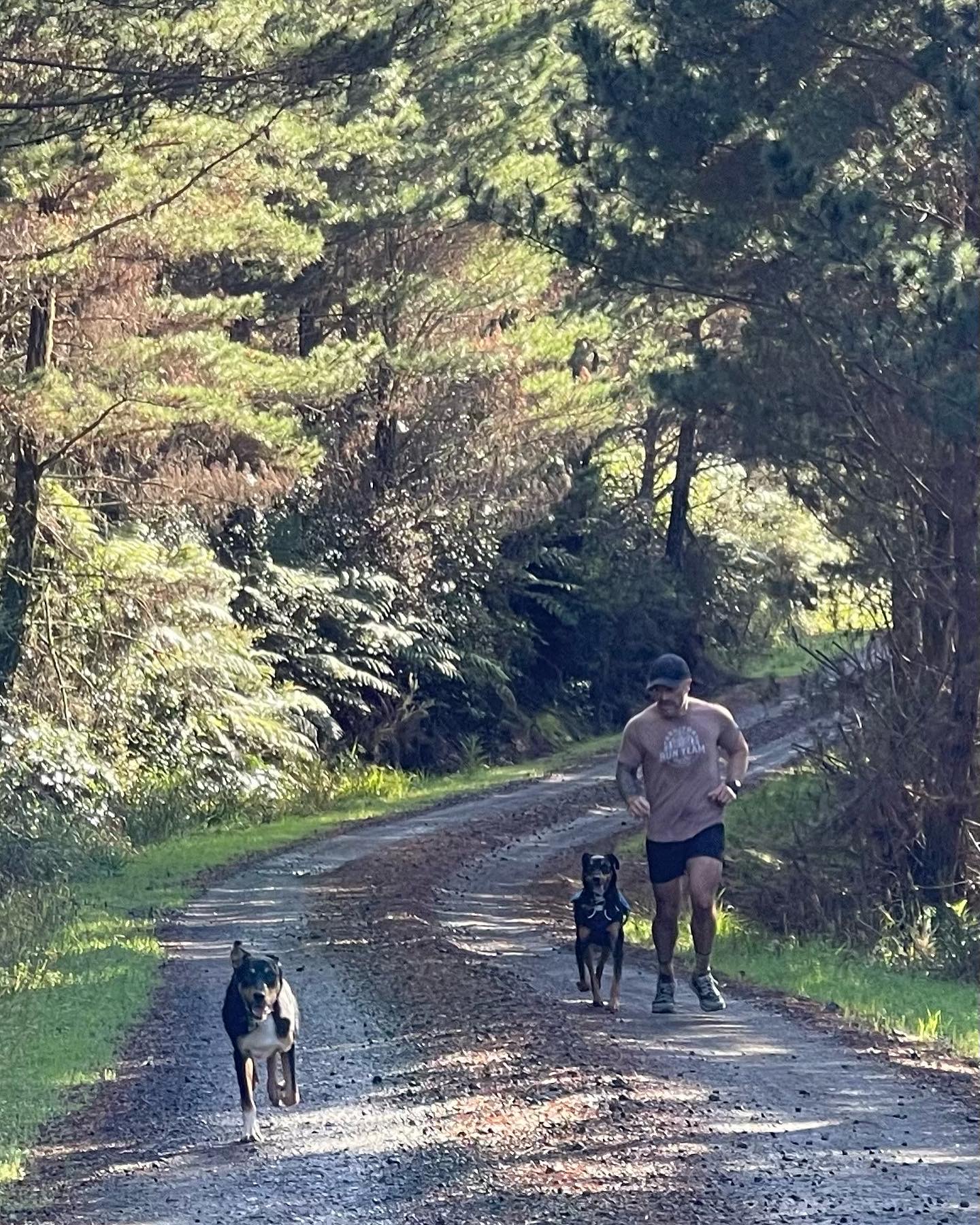 RacingThePlanet - Blogs