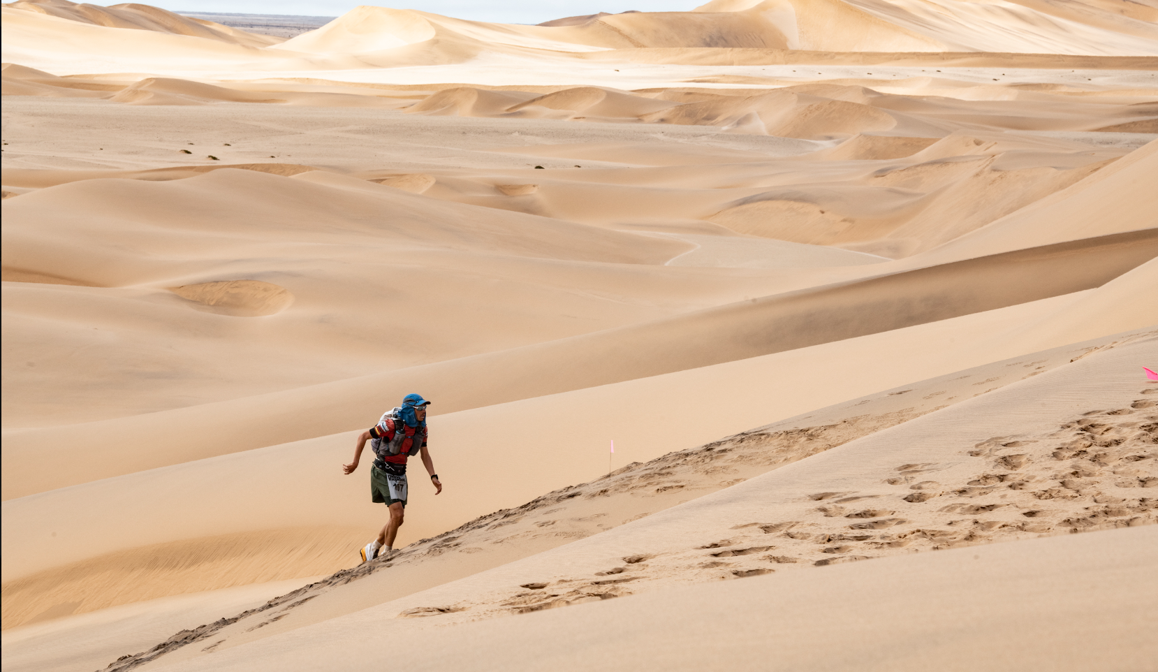 Training Plans - Features | Namib Race 2024